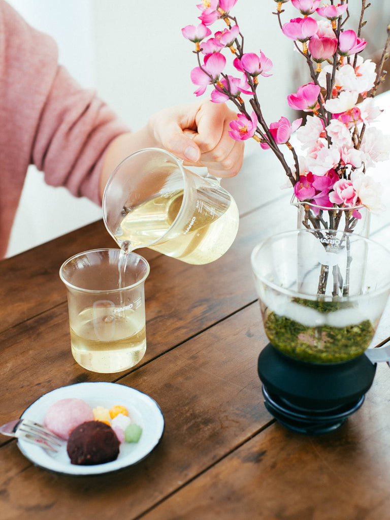 HARIO Largo 35 Tea Brewer (350ml/12oz) – Hario Canada